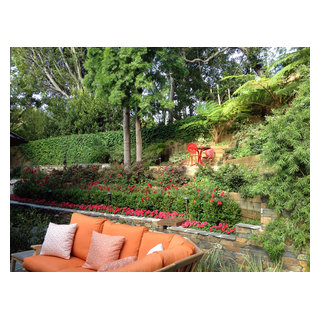 Angelo Drive Beverly Hills - Traditional - Landscape - Los Angeles - by ...