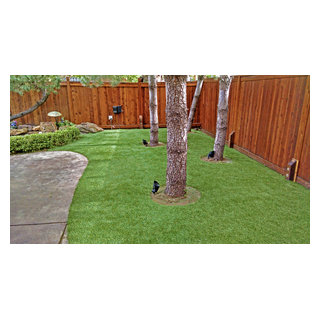 Artificial Grass Installed Around Trees in Arvada - Traditional ...