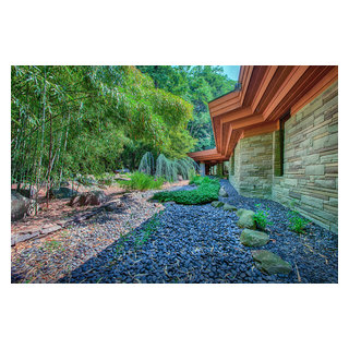 Asian Cedar Restoration Project - Asian - Landscape - Philadelphia - by ...