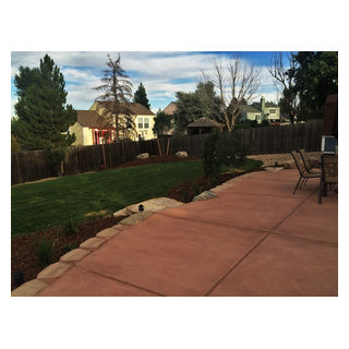 Aurora - Complete overhaul of existing backyard - Transitional ...