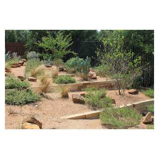 Austin Native Landscaping - Portfolio - Terraced Texas Native Plants ...