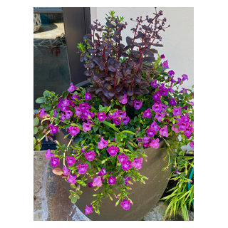 Award Winning Spanish Modern Mash-up - Modern - Landscape - San ...