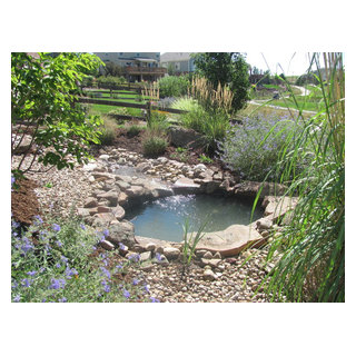 Back yard natural stream and pond - Traditional - Landscape - Denver ...