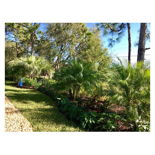 Backyard Pool Buffer - Tropical - Landscape - Orlando - by Construction ...
