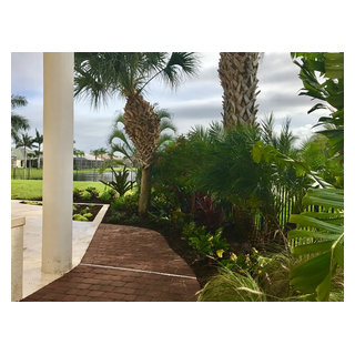 Backyard Pool Buffer - Tropical - Landscape - Orlando - by Construction ...