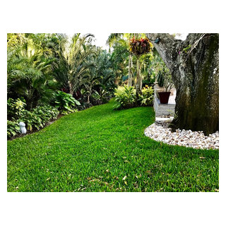 Backyard Pool Buffer - Tropical - Landscape - Orlando - by Construction ...