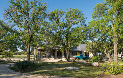 How to Buy Healthy Trees and Shrubs