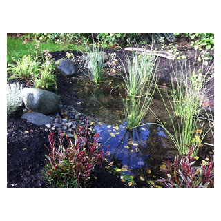Ballard raingarden - Contemporary - Landscape - Seattle - by Forrest ...