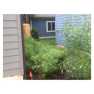 Bamboo Installation Brimingham Michigan - Asiatique - Jardin - Détroit ...