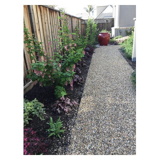 Bautista Residence - Eclectic - Landscape - San Francisco - by Verdance ...