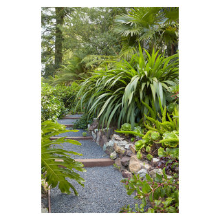 San Francisco Cloud Forest Garden - Tropical - Landscape - San ...