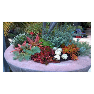 Container Garden in San Rafael - Modern - Landscape - San Francisco ...