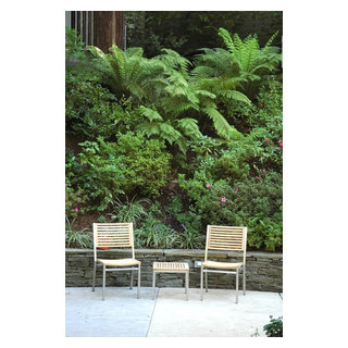 Bay Area Plants - Modern - Landscape - San Francisco - by Studio Green ...