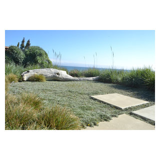 Beach Style Landscape - Beach Style - Landscape - San Luis Obispo | Houzz