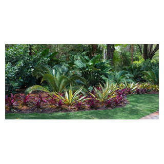 Bear's Club Estate Landscape - Tropical - Landscape - Miami - by User ...