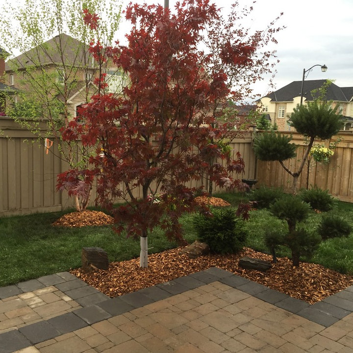 Corner Lot Landscaping Ideas - Photos & Ideas | Houzz