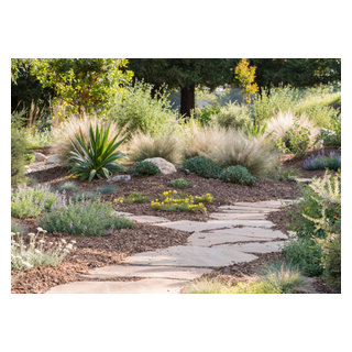 Beautiful "New Normal" California Landscape - Mediterranean - Landscape ...