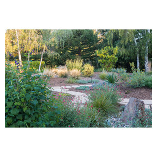 Beautiful "New Normal" California Landscape - Mediterranean - Landscape ...