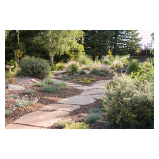 Beautiful "New Normal" California Landscape - Mediterranean - Landscape ...