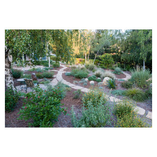 Beautiful "New Normal" California Landscape - Mediterranean - Landscape ...