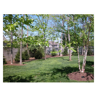 Before of backyard garden with existing trees - Traditional - Landscape ...
