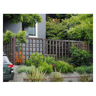 Berkeley Urban Patio Front Yard - Contemporary - Landscape - San ...