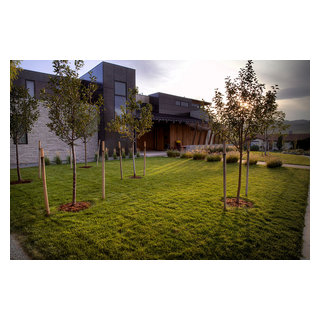 Big Alpine - Contemporary - Garden - Denver - by MARPA DESIGN STUDIO ...