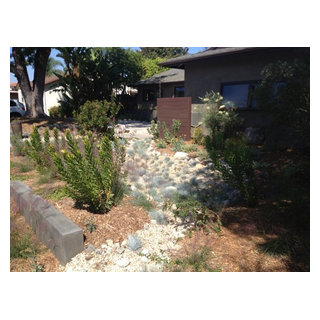 Bioswales - Contemporary - Landscape - Los Angeles - by Stout Design ...