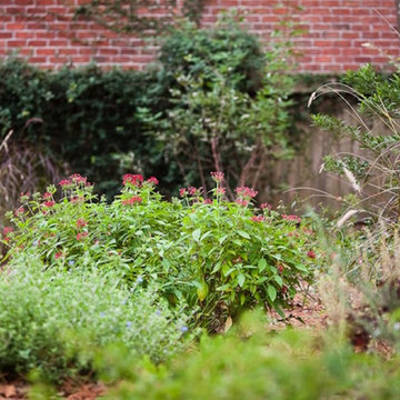 Bird Sanctuary Landscaping Ideas - Photos & Ideas | Houzz