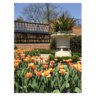 Bluff Dr. - Traditional - Landscape - Other - by Stephen W. Hackney ...