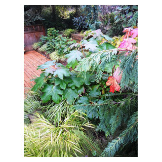 Borders and Containers - Eclectic - Garden - Seattle - by Big Picture ...