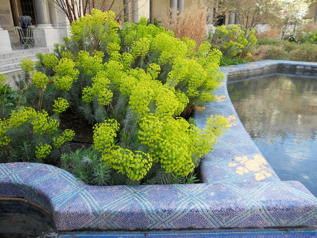 Do You Have This Green In Your Garden Yet?