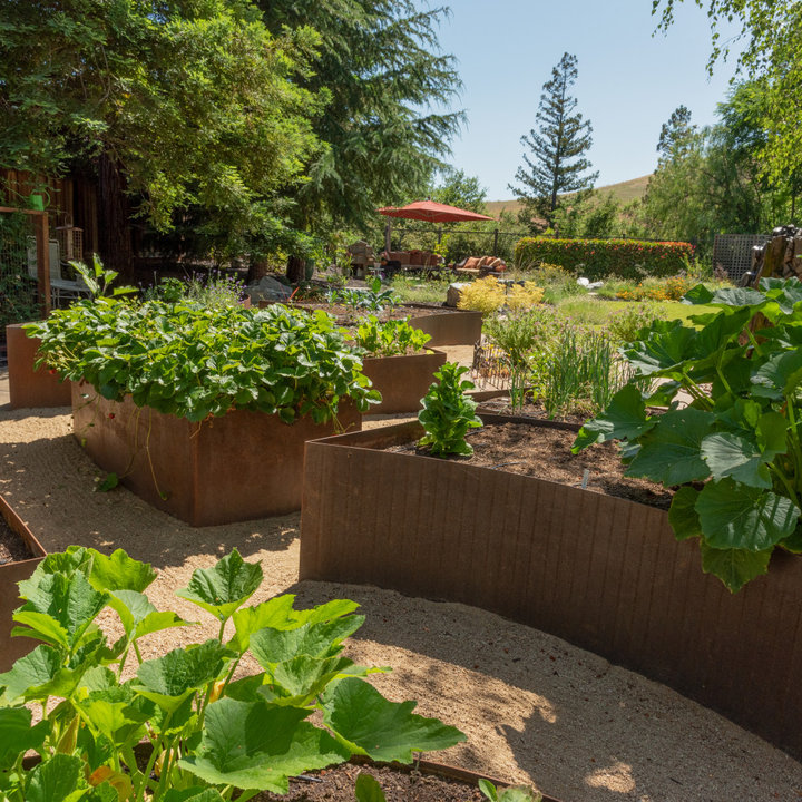 75 Hochbeet Garten Ideen & Bilder | Houzz