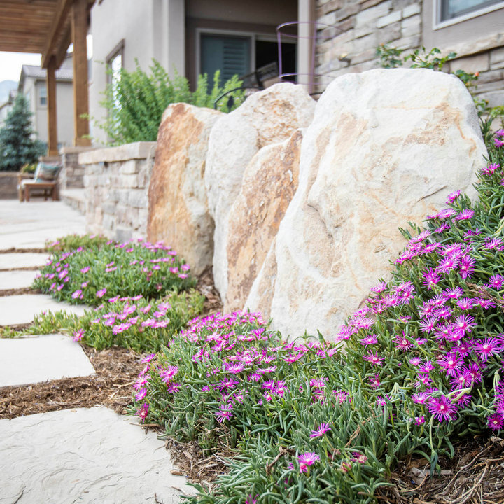 75 Beautiful Xeriscape Ideas & Designs - July 2022 | Houzz AU