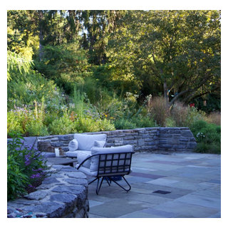 Bryn Mawr, PA - Native Meadow Design/Install - Rustic - Landscape ...