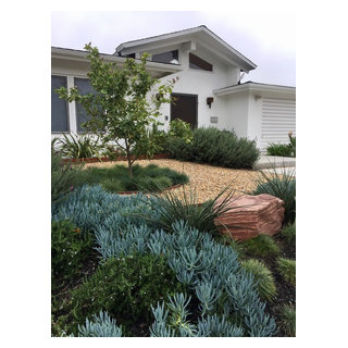 California Native Beach House - Contemporary - Landscape - Los Angeles ...