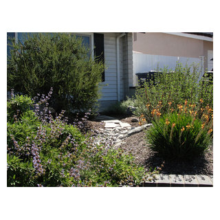 California Native Landscapes - Traditional - Landscape - Orange County ...