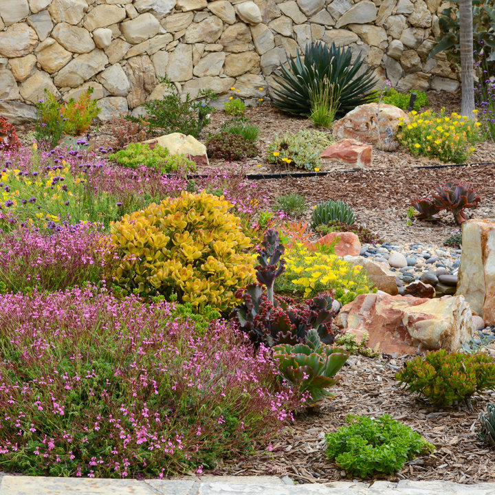 75 Beautiful Xeriscape Ideas & Designs - August 2022 | Houzz AU