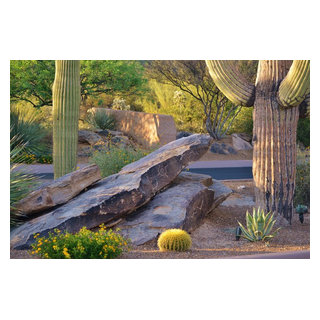 CANYON PASS - Southwestern - Landscape - Phoenix - by Landscape Design ...