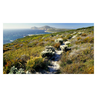 Cape Point Reserve, ZA.jpg - Landscape - Vancouver - by CYAN ...