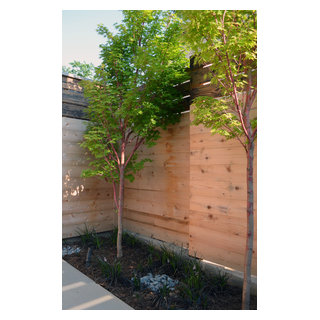 Capitol Hill Bluestone - Contemporary - Landscape - DC Metro - by Moody ...