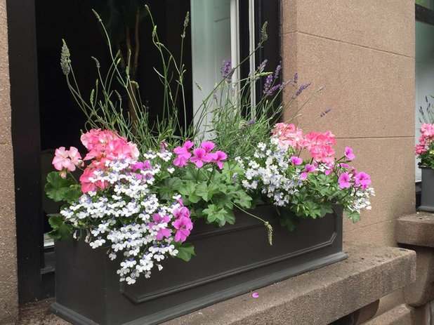 Window Box Planting Ideas for 4 Seasons of Interest