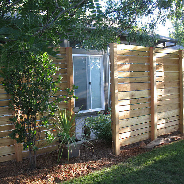 Cedar Privacy Screen - Photos & Ideas | Houzz