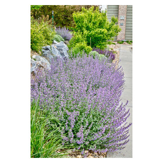 Celestial View - Traditional - Landscape - Denver - by TLC Gardens | Houzz