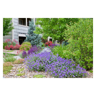Celestial View - Traditional - Landscape - Denver - by TLC Gardens | Houzz