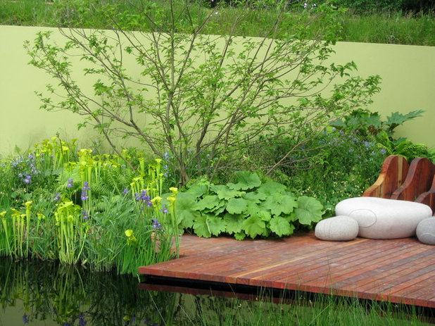 20 Ways to Create a Chartreuse Splash in the Landscape