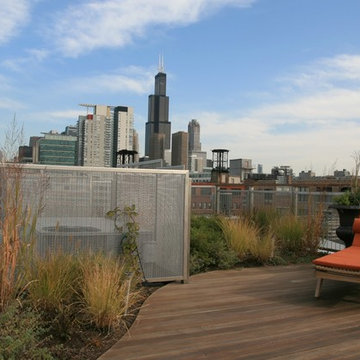 75 Rooftop Garden Path Ideas You'll Love - June, 2025 | Houzz
