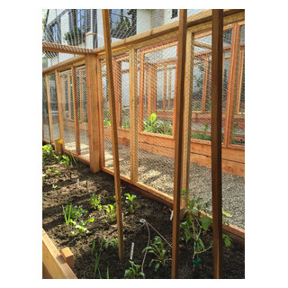 Cindy - Garden - Los Angeles - by Hope Gardens | Houzz UK