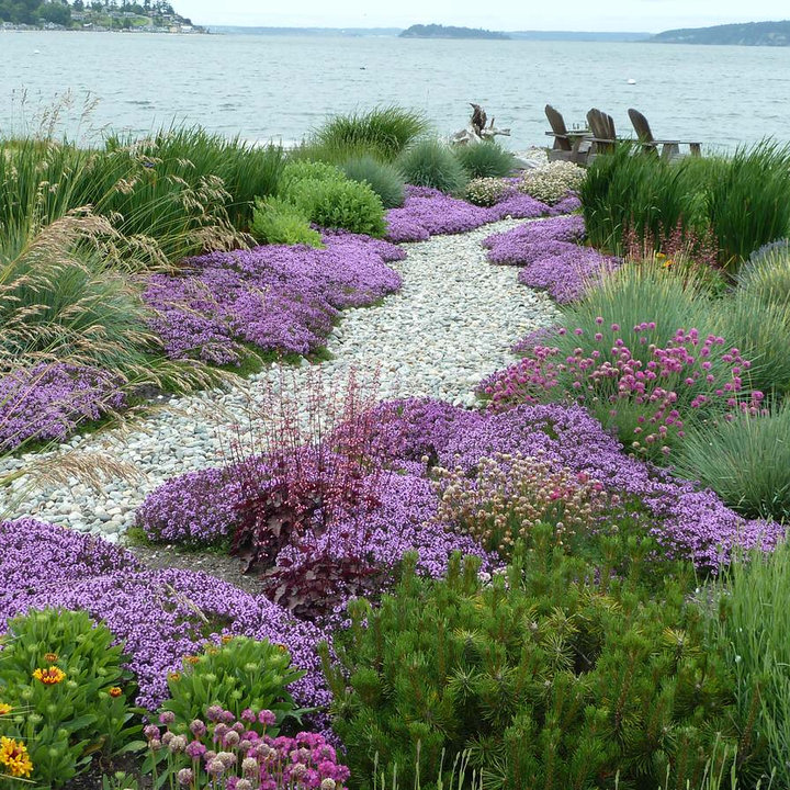 Waterfront Landscape - Photos & Ideas | Houzz