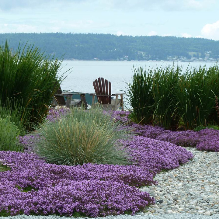 Waterfront Landscape - Photos & Ideas | Houzz